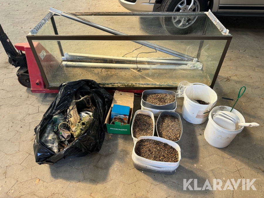Akvarie, Hillerød, Klaravik auktioner