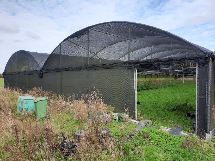Poly tunnel / nethal 20 x 48 meter